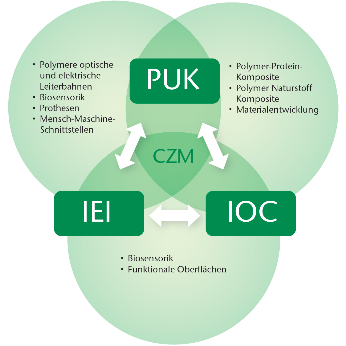 Polymersysteme, Mikrosensorik und Biologisierung